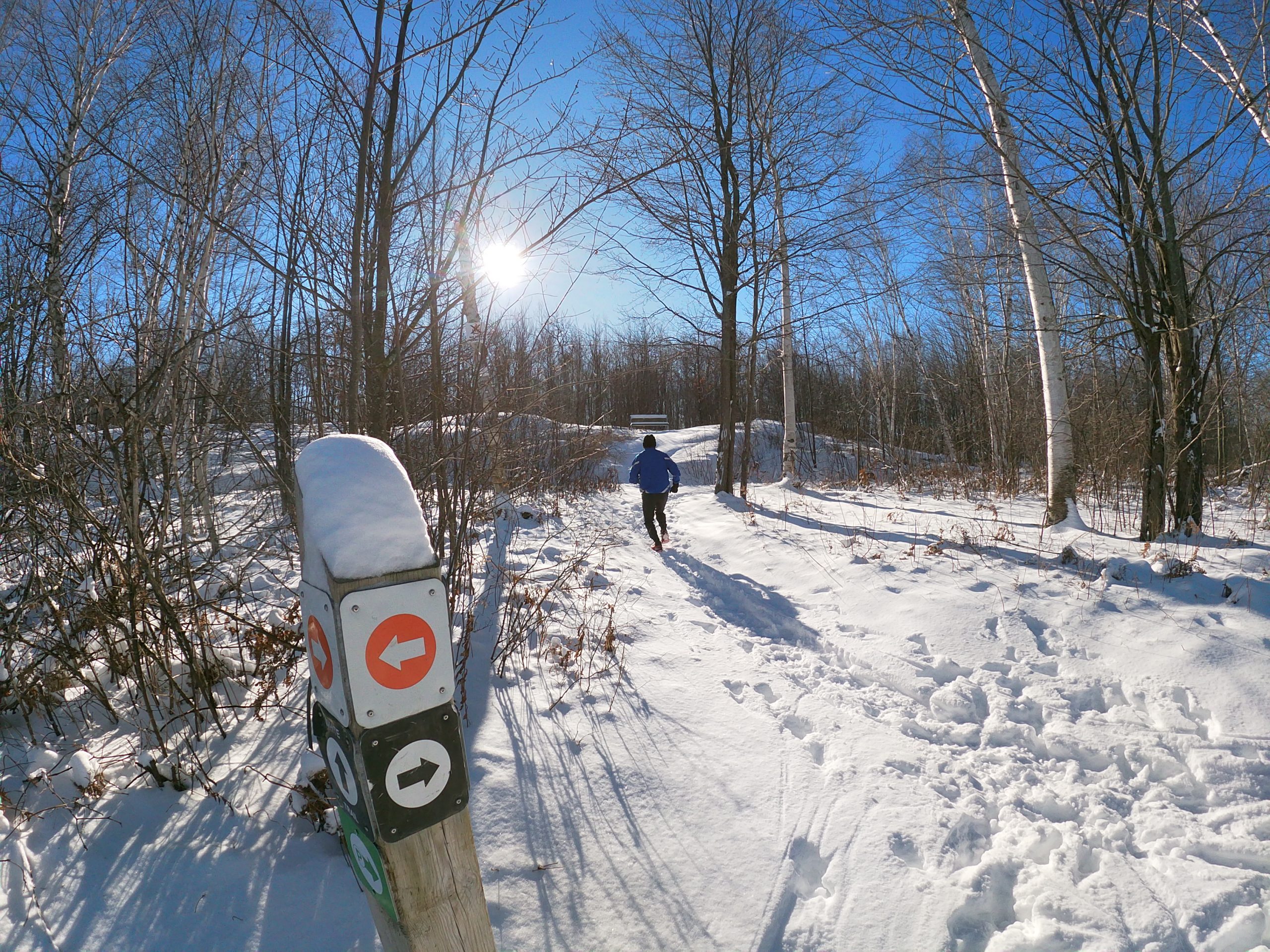 Top 7 Winter Trails to Visit Over the Holidays - Tourism North Bay