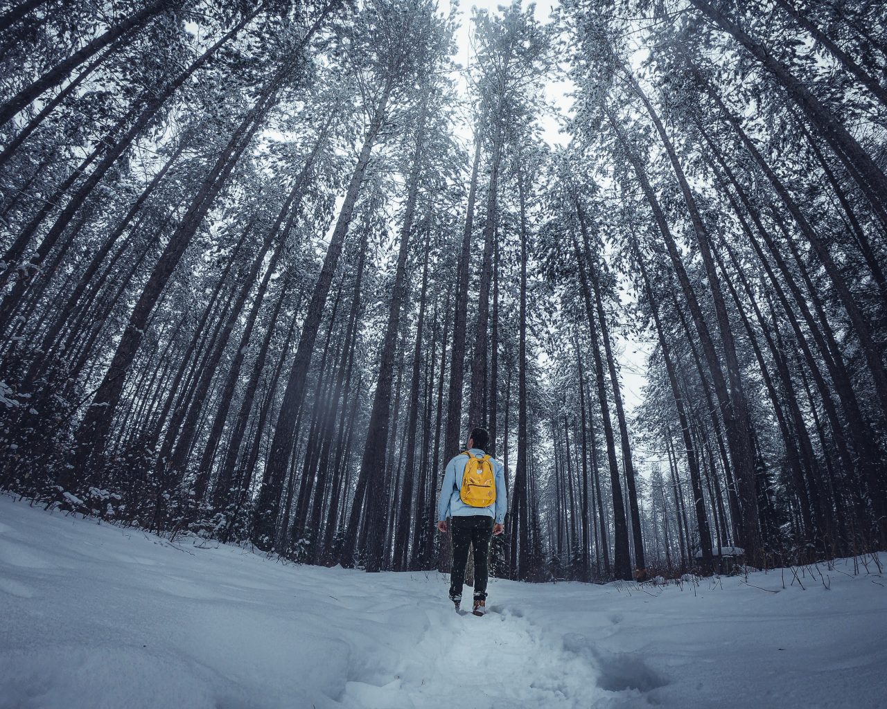 An Instagramers guide to getting the perfect shot in North Bay ...