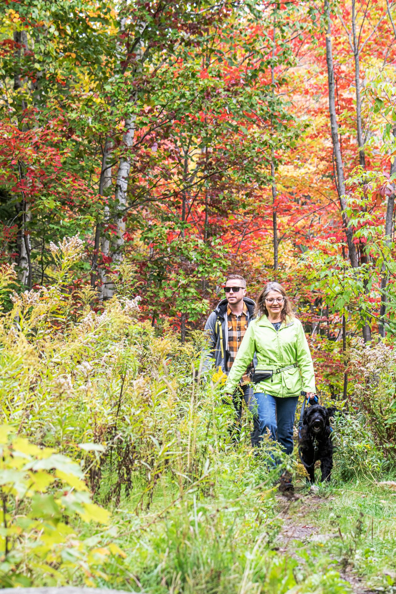 North Bay’s Best Fall Hikes - Tourism North Bay