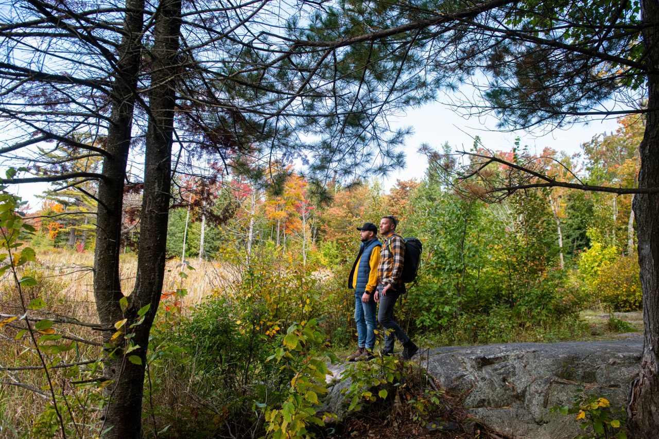 North Bay’s Best Fall Hikes - Tourism North Bay